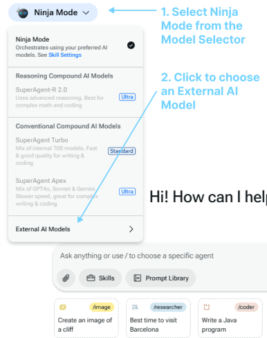 Setting Up External AI Models – NinjaTech AI
